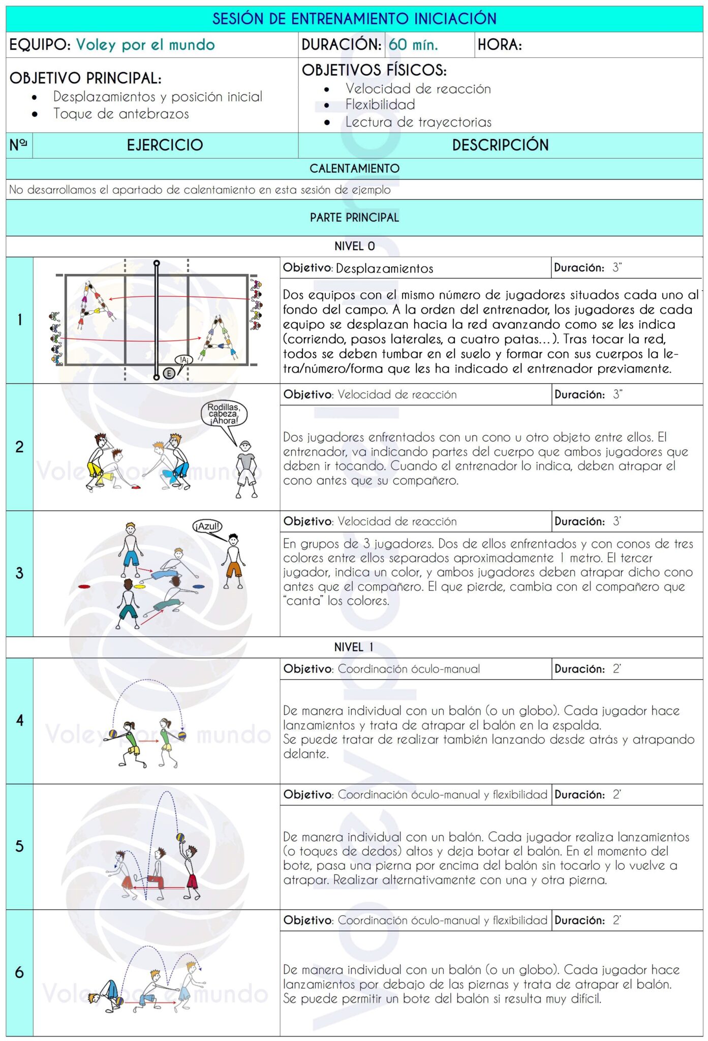 Entrenamiento - Voleibol Total